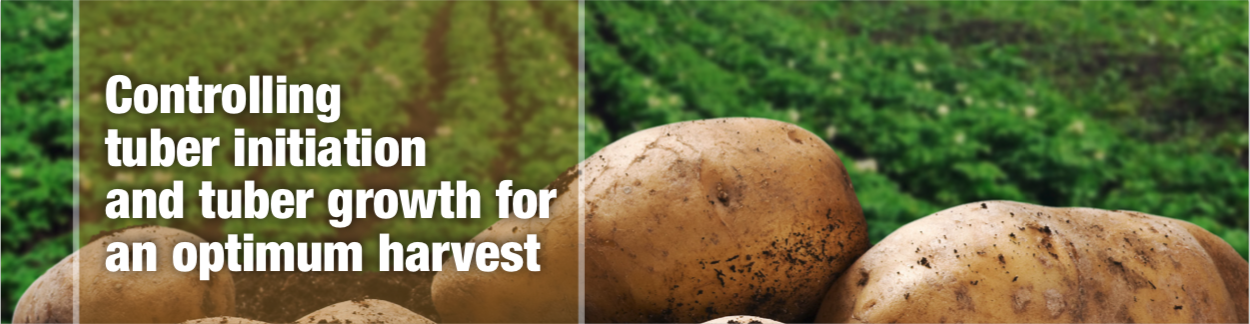 Blog – Microbial Distribution Limited